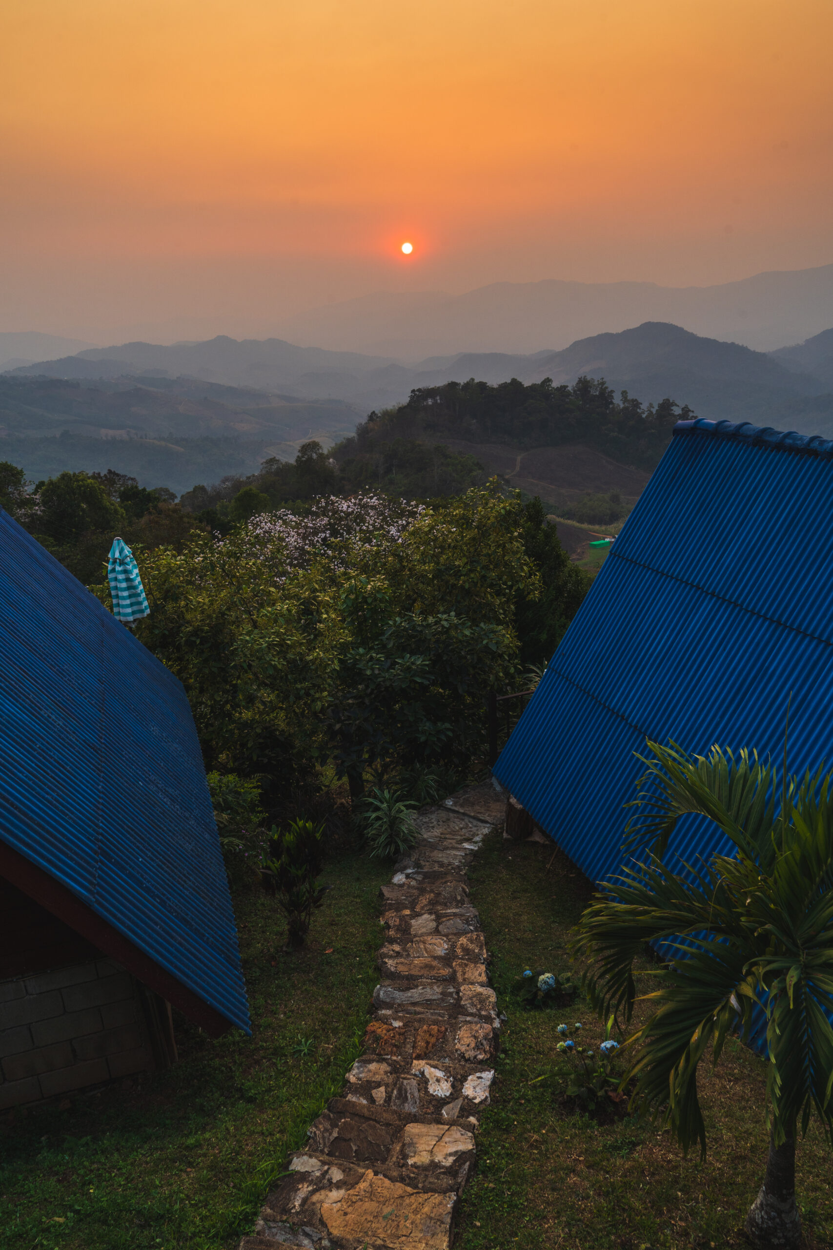 Phu Chi Fa Hike, Chiang Rai - Guide [2023] | Explore Stronger