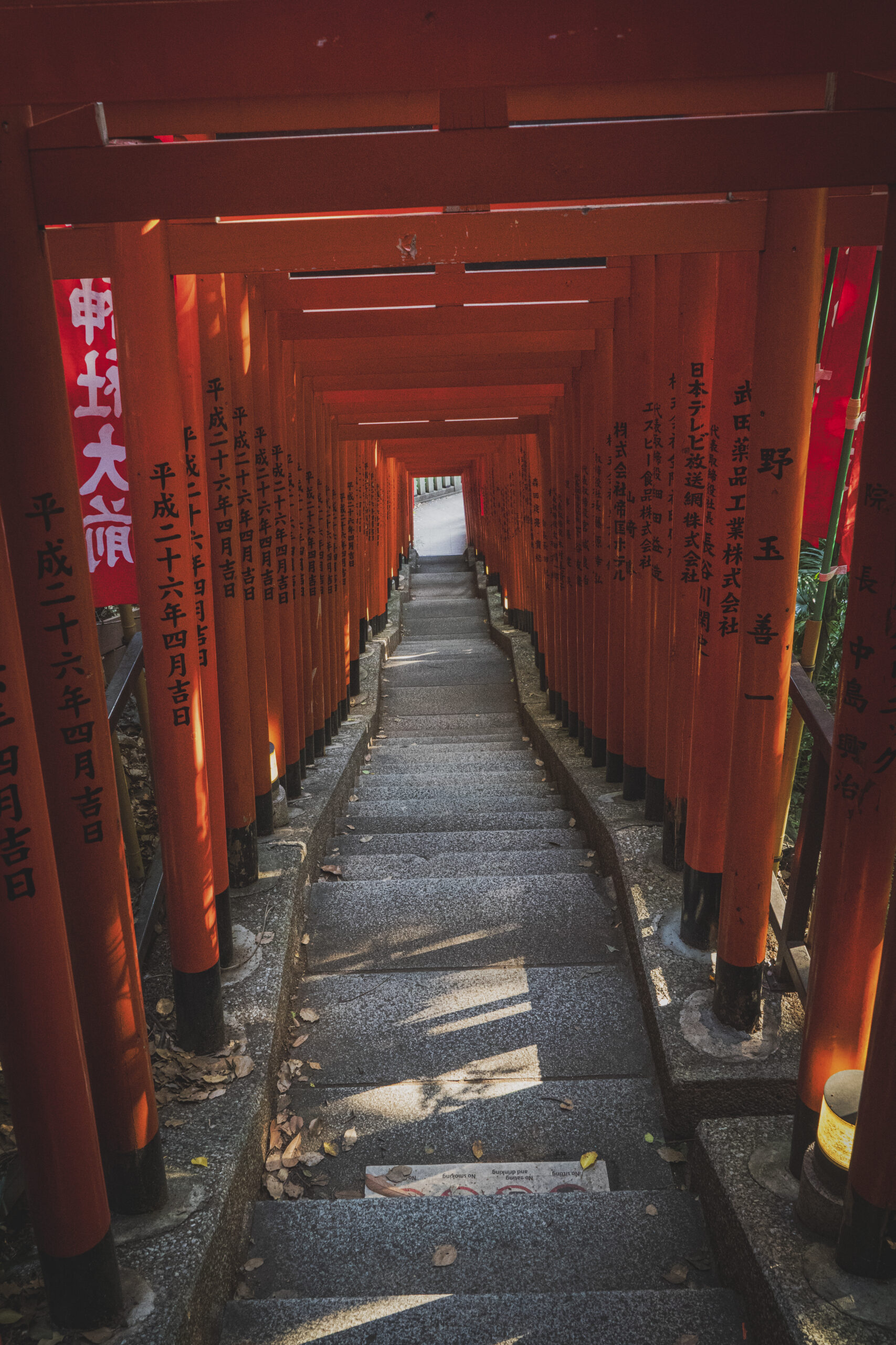 The Weekly #024 - Heading to Japan | Explore Stronger